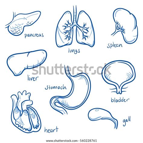 Liver Malfunction Images Stock Photos Vectors Shutterstock