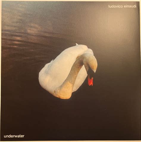 Ludovico Einaudi Underwater Sanity