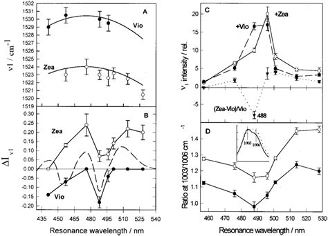A Resonance Raman Excitation Profiles Of The 1 Maxima Open Circles Download Scientific