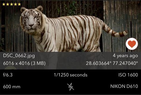 Understanding Exif Metadata A Beginners Guide