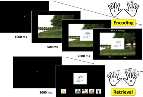 Participants Completed Encoding Top And Retrieval Bottom Phases Of