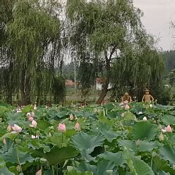 Pytorch DDPM Pytorch DDPM 基于pytorch框架从零实现DDPM算法 详细的介绍可参考博客https zhuanlan zhihu com p