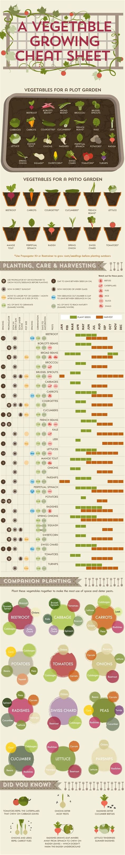 Vegetable Planting Calendar Planting Vegetables Growing Vegetables