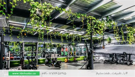 ایده سبز ایده‌های سبز برای طراحی دکور باشگاه بدنسازی