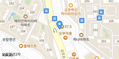 벌스데이파티 카카오맵