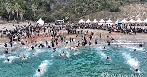 서귀포 겨울바다 국제펭귄수영대회