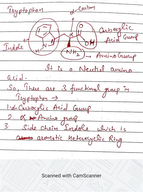 Solved Circle And Label The Functional Groups In Tryptophan O Oh Hn