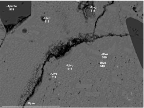 Sem Image Of Slide 2 Mg 22b Showing A Cloth Texture Exsolution Of
