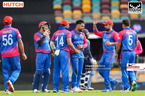 Afghanistan Squad Announced For Sri Lanka Odis