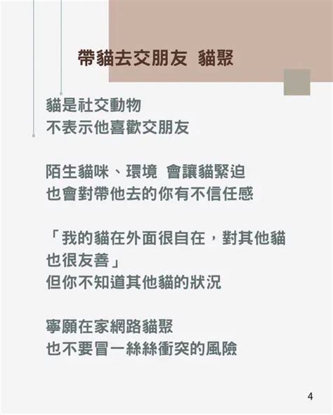 貓奴好吃好喝供著喵皇還是被討厭！專家盤點5大喵星人不喜歡飼主的原因 飼養二三事 Udn寵物部落