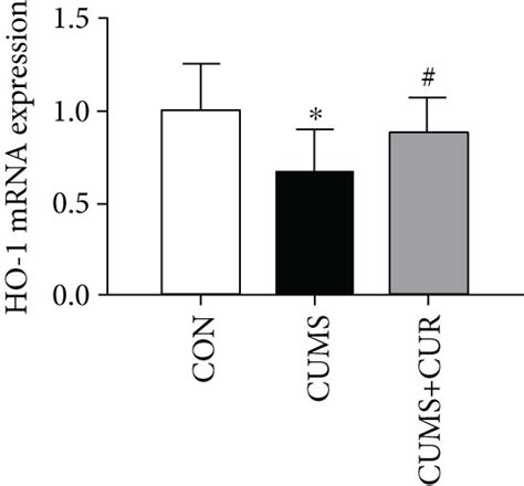 Effects Of Cur On The Activation Of Nrf2 In Cums Treated Rats A