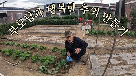 50대 중년 부부의 세계 여행 한국 방문 Youtube