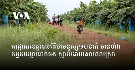 អាជ្ញាធរ ខេត្ត រតនគិរី ថា មនុស្ស ១០ នាក់ មាន ទាំង កម្មករ ចម្ការ ចេក ផង