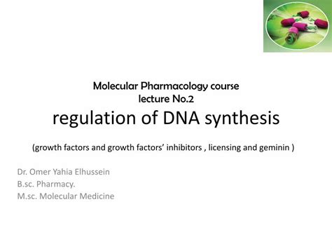 Pdf Regulation Of Dna Synthesis Dokumen Tips