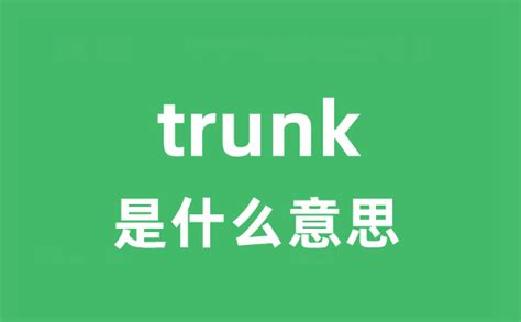 Trunk是什么意思 Trunk怎么读 中文翻译是什么？ 学习力