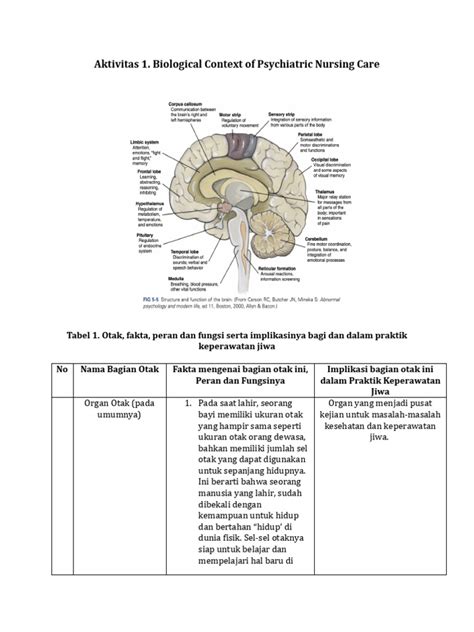 Bagian Otak Dan Fungsinya Pdf