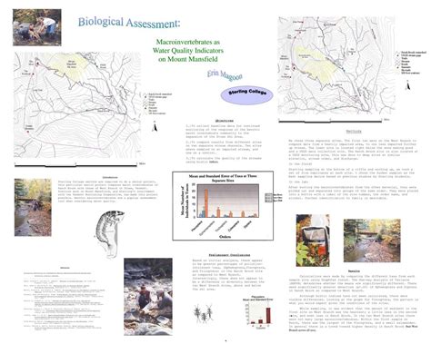 Macroinvertebrates As Water Quality Indicators On Mount Mansfield Ppt