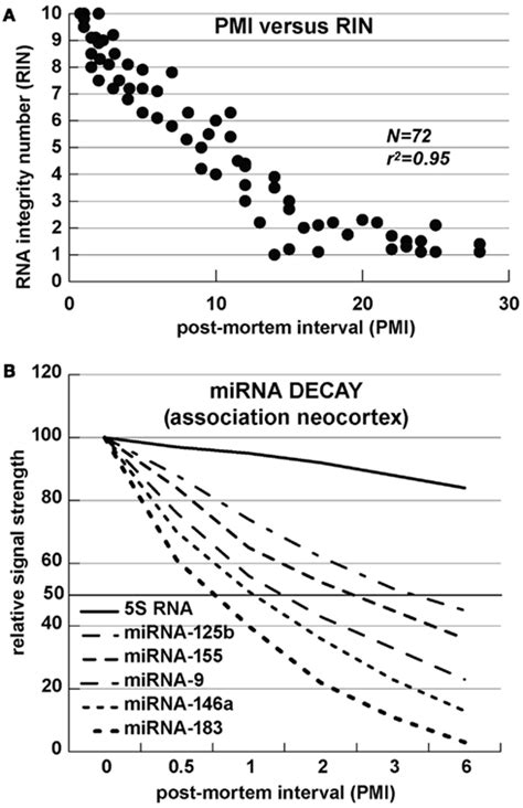 RNA Stability A RNA Integrity Number RIN Versus Post Mortem Download Scientific Diagram