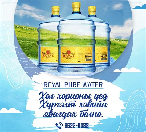 ХӨЛ ХОРИОНЫ ҮЕД ХҮРГЭЛТ ХЭВИЙН Royal Баллонтой Цэвэр Ус