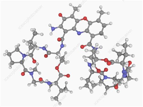 Actinomycin D Drug Molecule Stock Image F004 6131 Science Photo