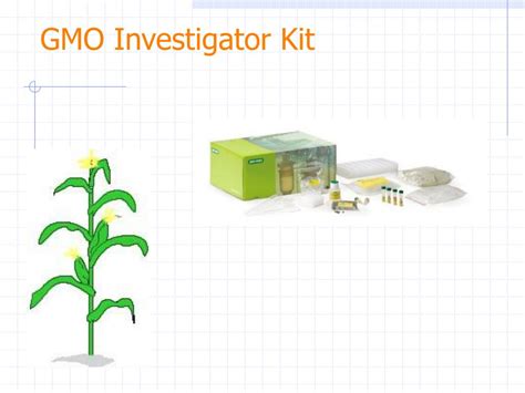 PPT Todays PCR GMO Detection PowerPoint Presentation Free Download ID