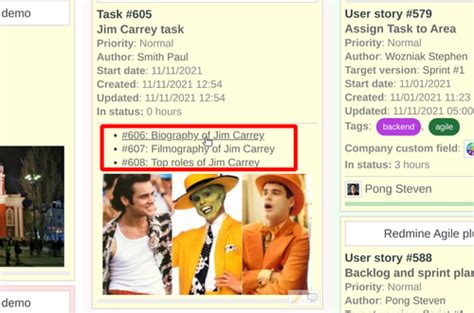 card fields agile plugin documentation