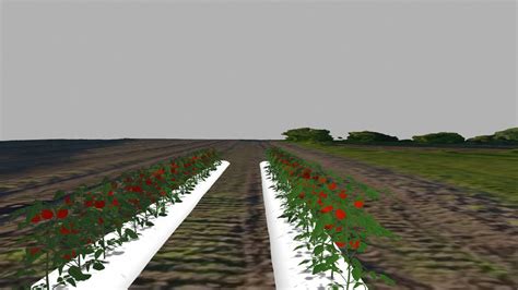 How To Use The Segmentationgp Instance Segmentation Api