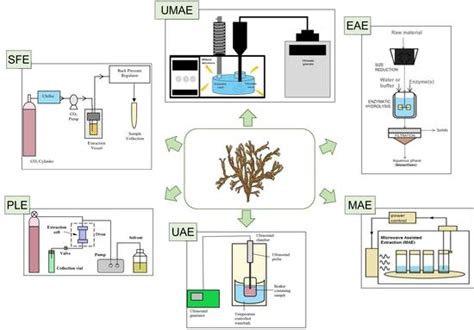 Marine Drugs Free Full Text A Critical Comparison Of The Advanced