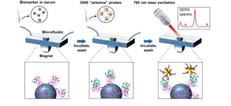 Cardiac Disease Biomarker Screening Via Microfluidics Ufluidix