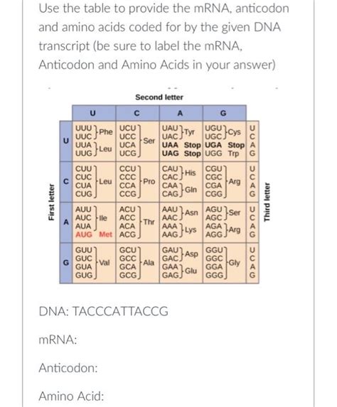 Solved Use The Table To Provide The Mrna Anticodon And