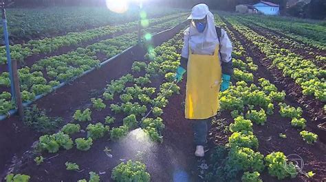 Anvisa aprova novo marco regulatório de classificação de agrotóxicos