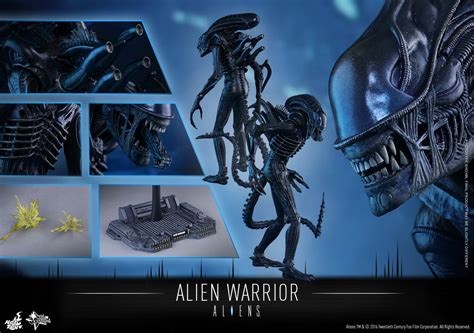 Hot Toys Mms 354 Aliens Alien Warrior Hot Toys Complete Checklist