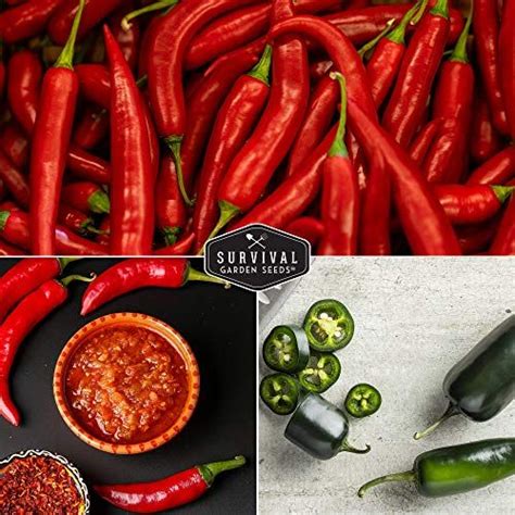 Hot Pepper Collection Seed Vault Habanero Cayenne Jalapeño Serrano Stuffed peppers