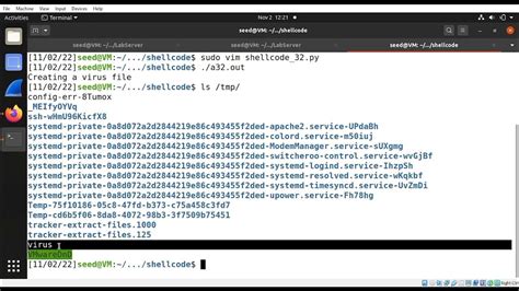Seed Lab Buffer Overflow Bsit M2 19 40 Youtube