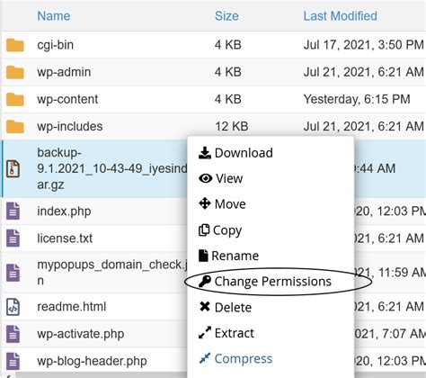 Cara Migrasi Cpanel Ke Cyberpanel Vps Idcloudhost