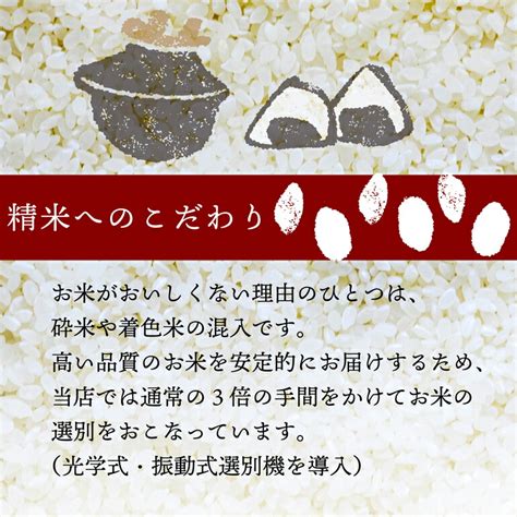 【楽天市場】コシヒカリ 三重県産 10kg 令和6年 5kg×2 米 お米 こしひかり 単一原料米 【39ショップ対応】【送料無料】【沖縄県