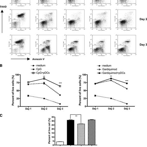 Autoreactive B Cell Proliferation And Activation In Vivo Purified