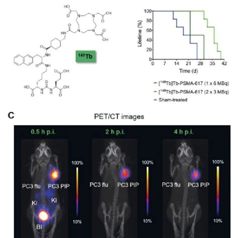 A Chemical Structure Of Psma 617 B Survival Curve Of Mice Treated