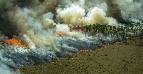 El Amazonas Tuvo Su Peor Junio En 13 Años Debido A Incendios Forestales