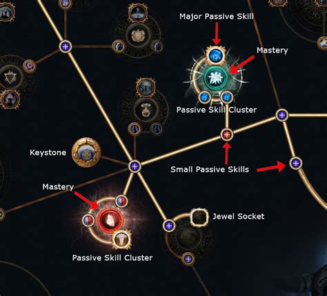 Beginner Guide To Path Of Exile Learning The Passive Tree Poe Vault