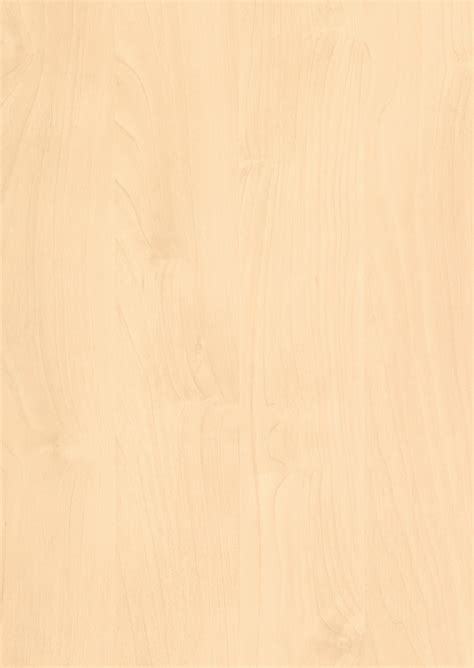 Swissline EGGER ABS Kanten Holz H 1733 ST9 Mainau Birke 2 X 23 X 75000 MM 128193 Kuratle