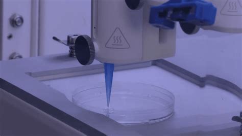 Scientists Create 3d Bioprinted Hair Follicles In Lab Grown Skin Iflscience