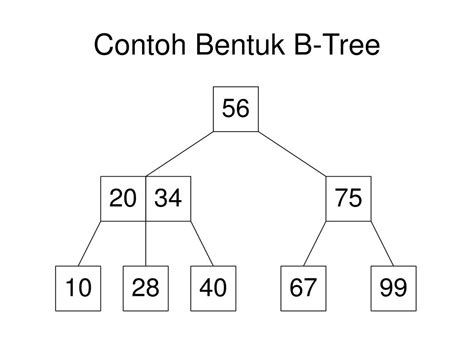 B Tree