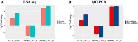 Comparison Of Gene Expression Patterns Determined By Comparative