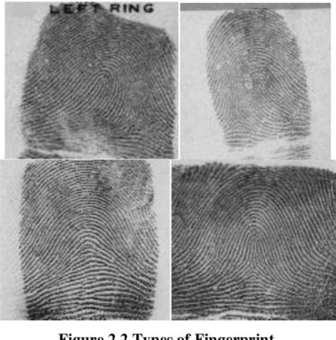 Figure 22 From Correlation Based Method For Identification Of Fingerprint A Biometric Approach