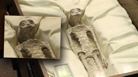 “alien Corpses” Presented In The Mexican Congress Photo Video