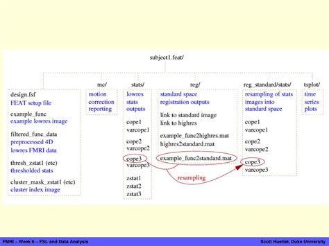Ppt Introduction To Fsl And Data Analysis Powerpoint Presentation