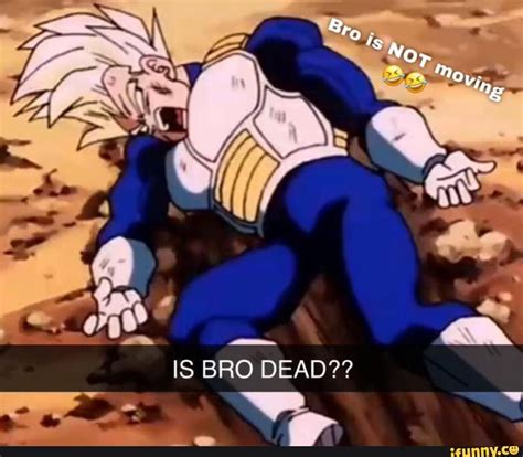 Is Bro Dead Ifunny