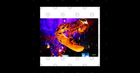 Smashing T Rex Dinosaur Photo In Bones Ecopop Art Dinosaur Sticker
