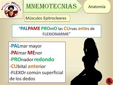 Pin En Mnemotecnia Medicina